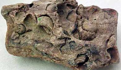 Geoplay Park Paignton - Things to Do in Torbay in South Devon