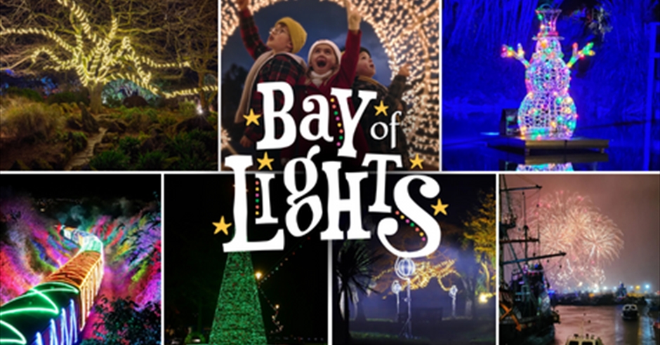 Bay of Lights | English Riviera BID Company