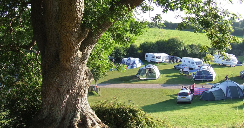 Whitehill Country Park - PAIGNTON - English Riviera