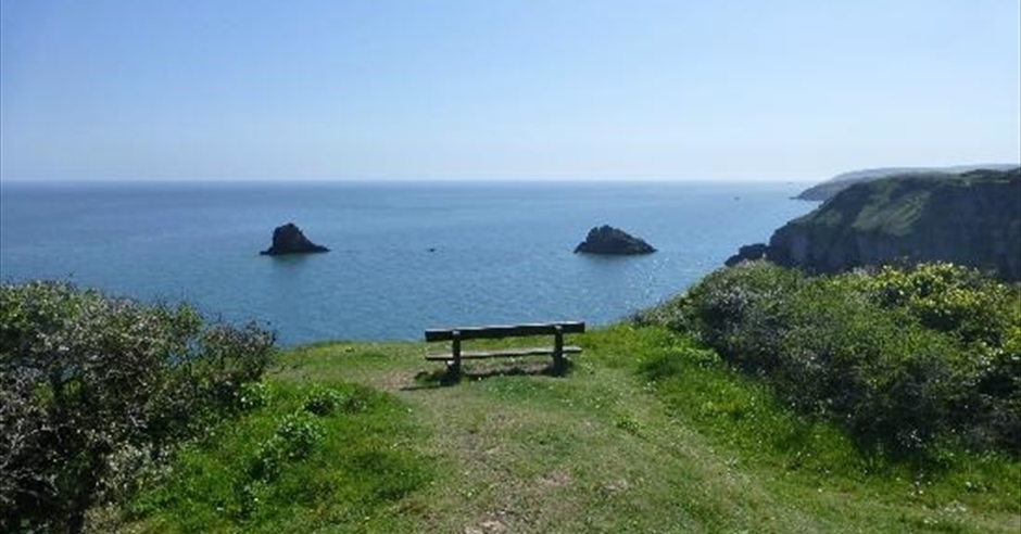 Berry Head Nature Reserve - Animals & Nature in Brixham, Brixham ...