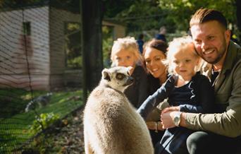 Animals & Wildlife Attractions - Torquay, Paignton & Brixham - English ...