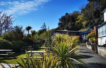 Things to Do in Torquay - Attractions and Activities - Visit English ...